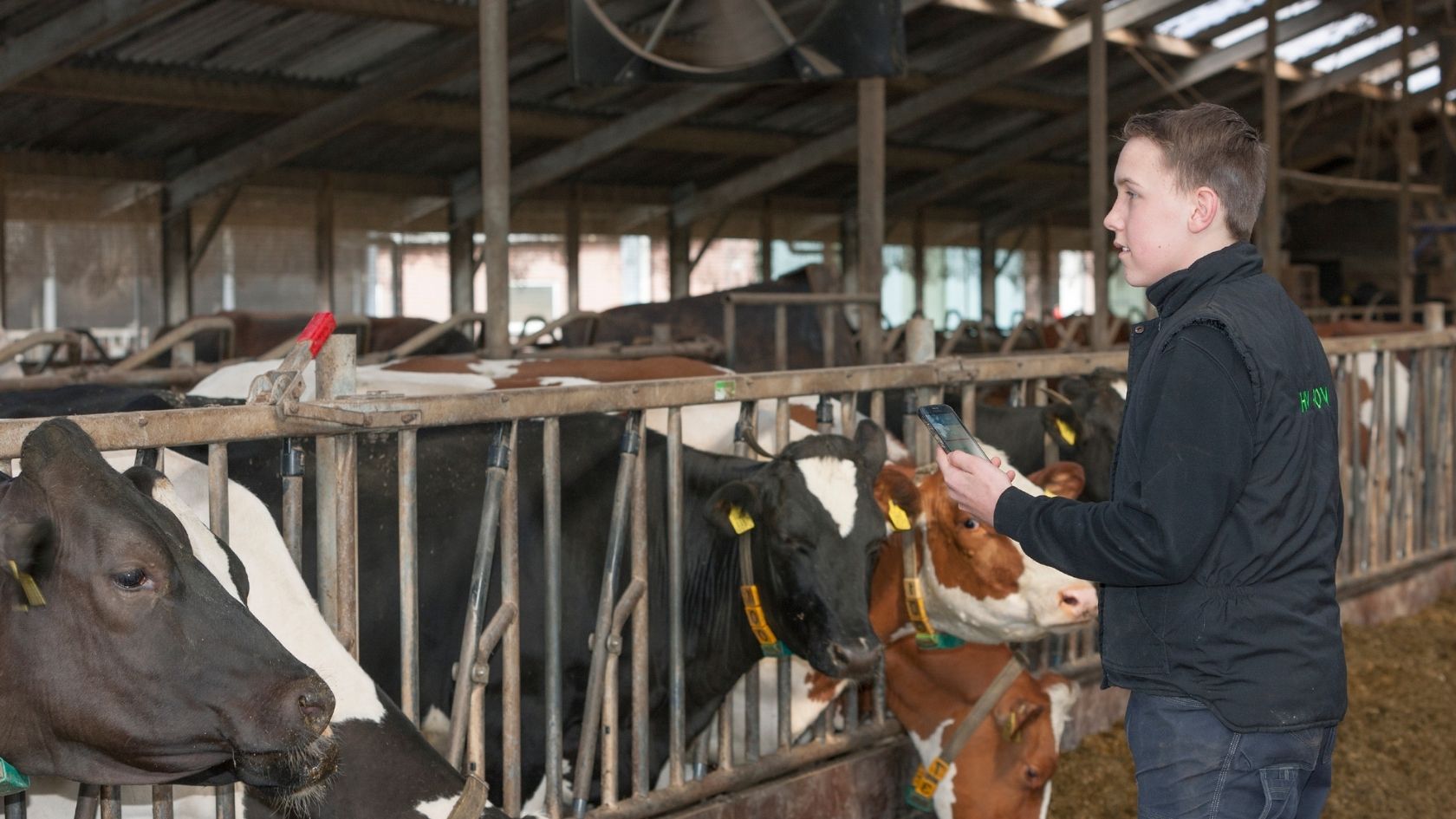 The advanced ration balancing tool for dairy farms globally